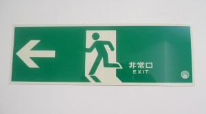 A Brief History of the Japanese Exit Sign (also known as the Running ...